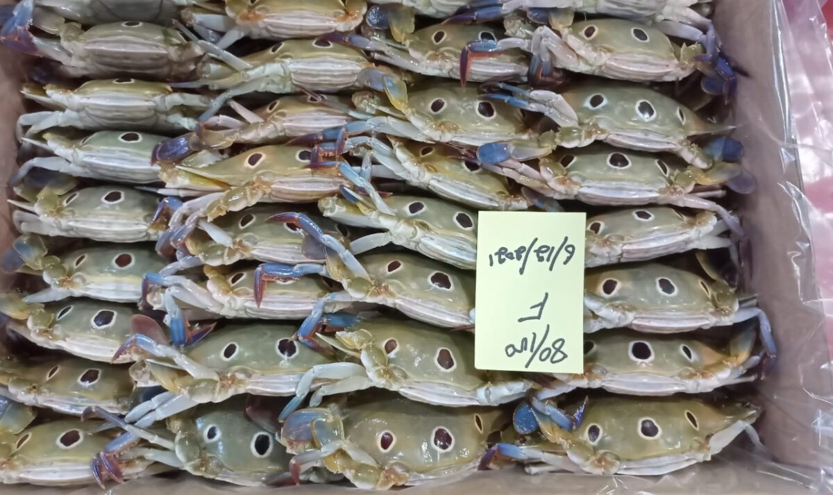 Crab - Hei5 International Food Pakistan